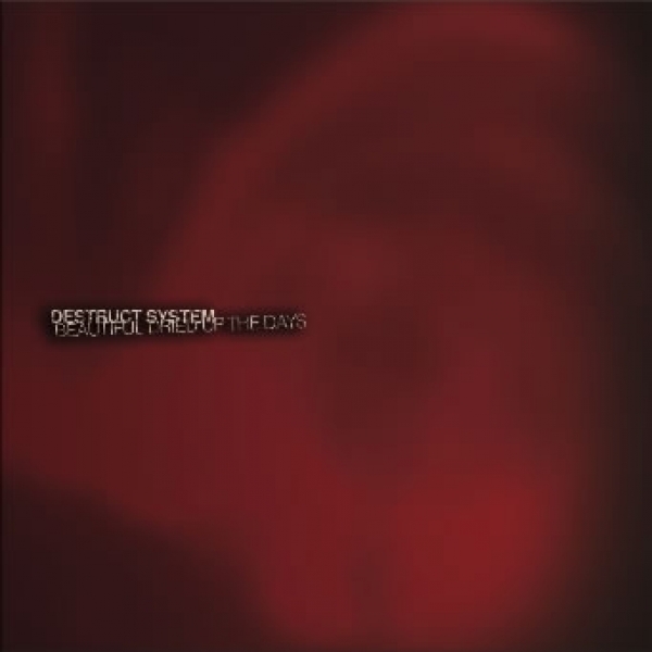 DESTRUCT SYSTEM - インディーズ試聴サイトAudioleaf
